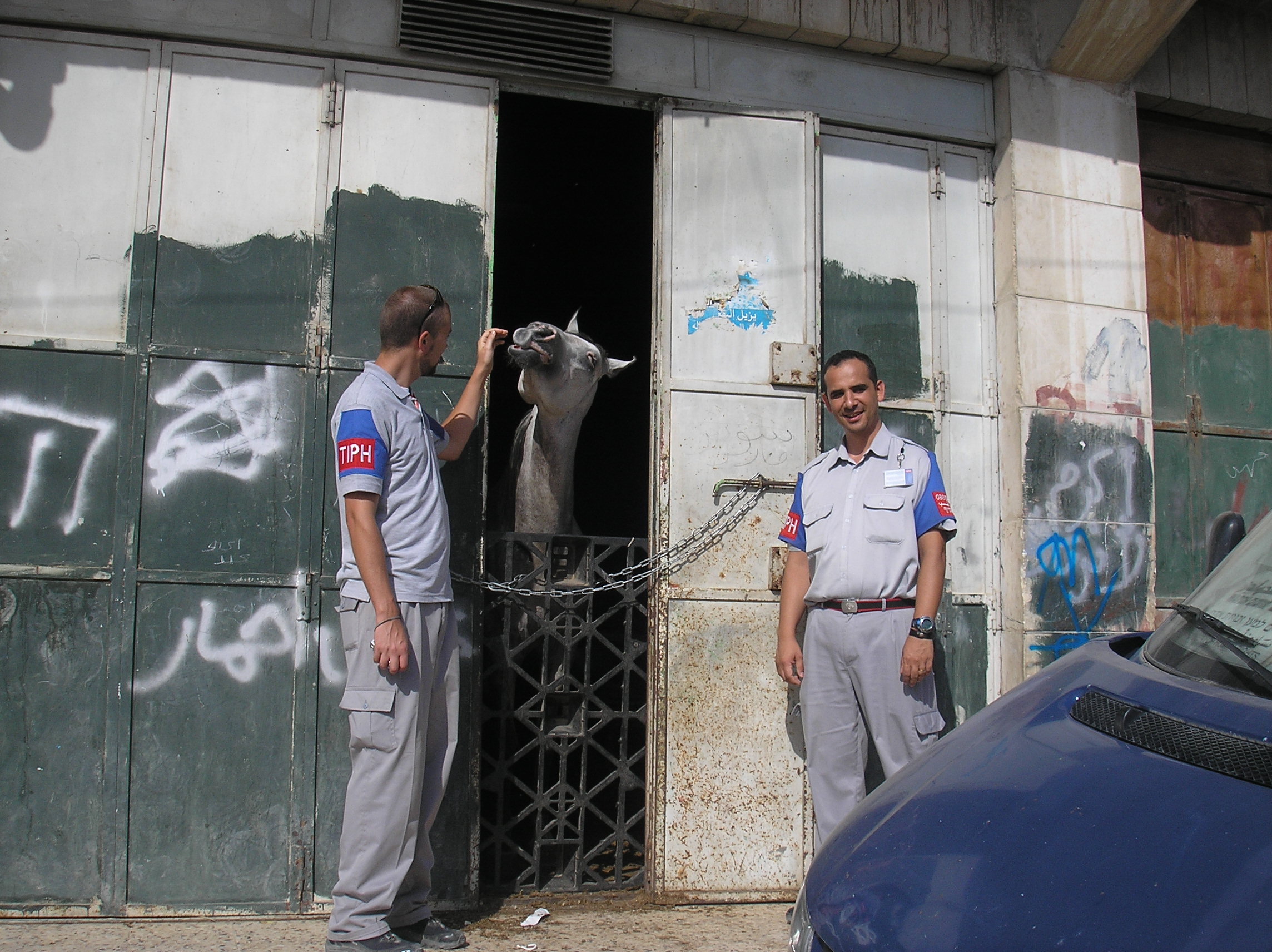 Police Document Proves Removal of TIPH Was Political - Peace Now