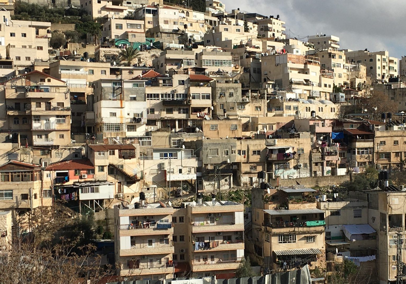 Home Page - Peace Now