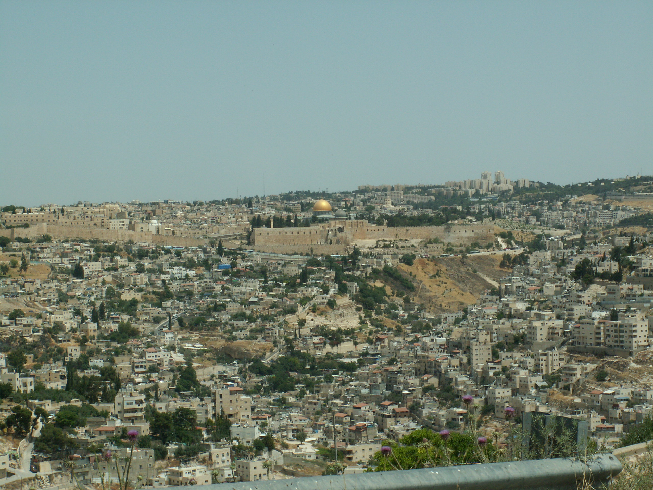 Settlement Under the Guise of Tourism: The Elad Settler Organization in ...