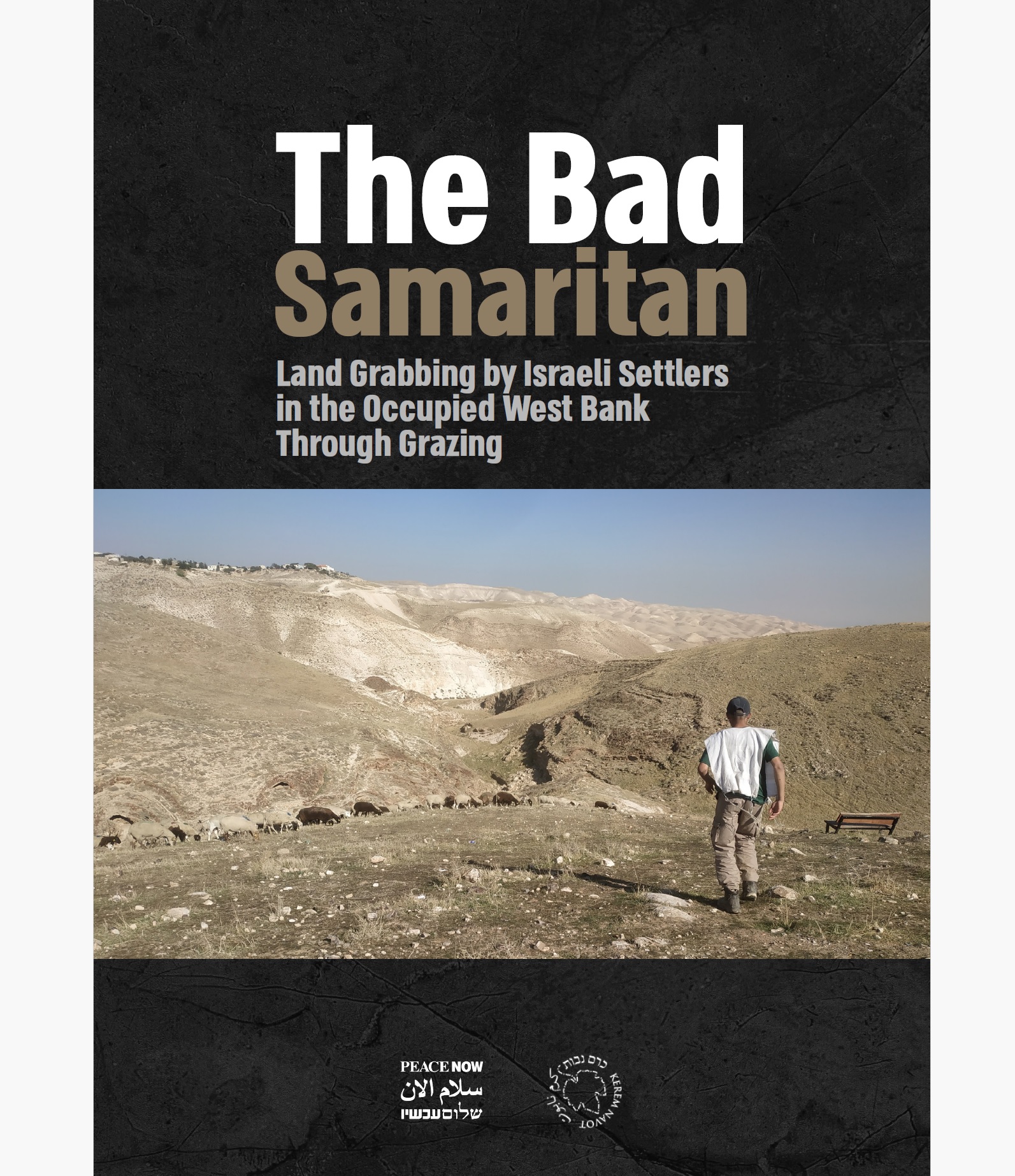 The Bad Samaritan: Land Grabbing by Settlers Through Grazing - Peace Now